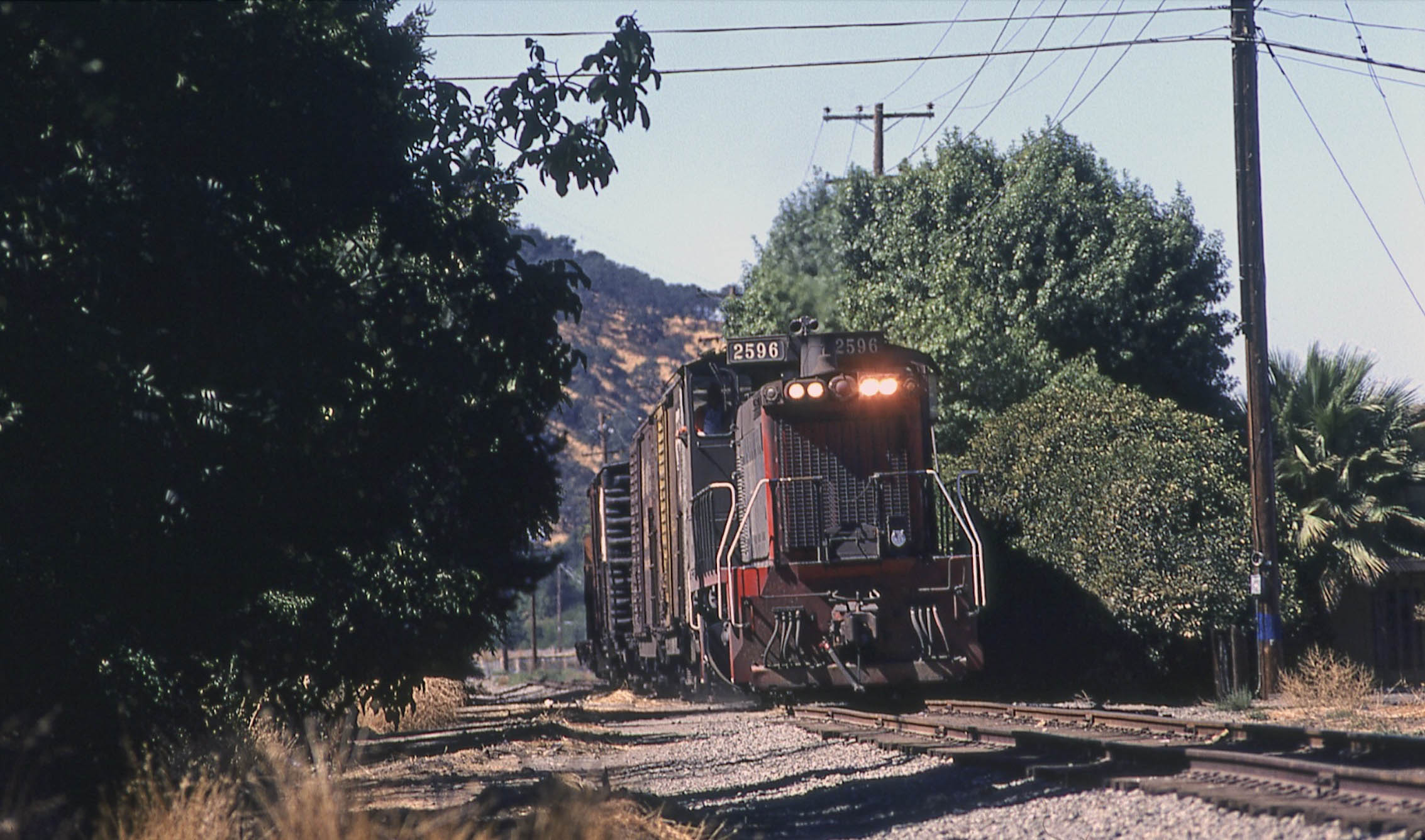 Alamo's Elusive O. A. & E. Trestle - East Bay Hills Project